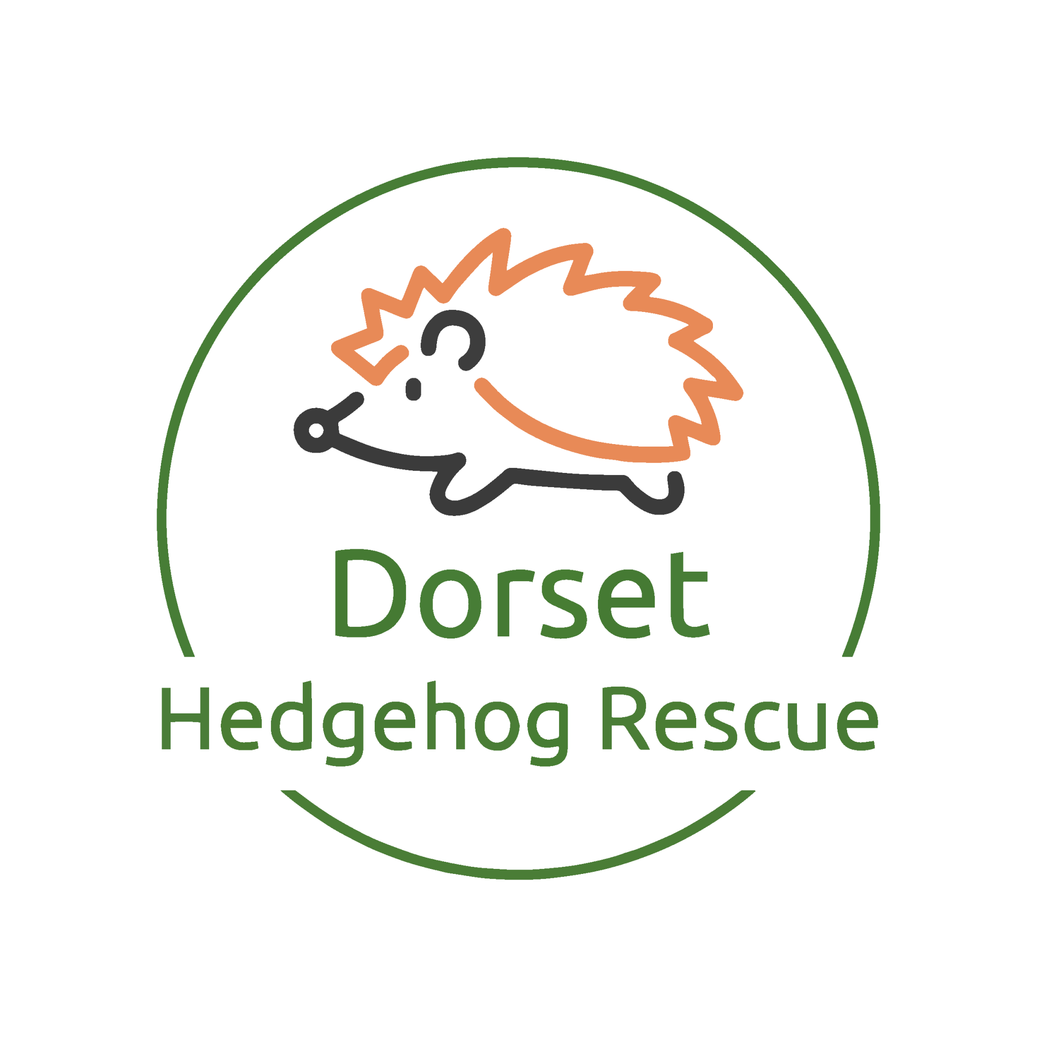Hedgehogs & Hibernation – Dorset Hedgehog Rescue